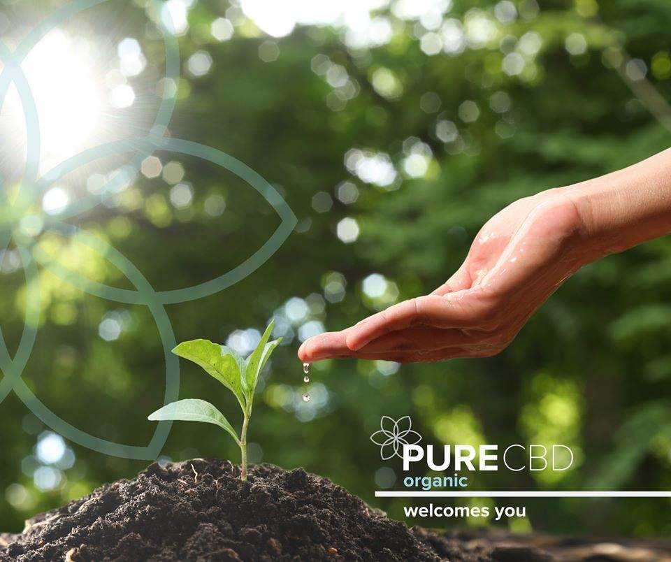 Home | Pure Organic CBD - Swiss made CBD in Spain & the UK Online
