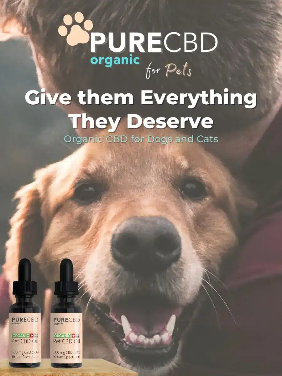 CBD Oil for Pets UK | CBD Oil for Dogs and Cats | Pure Organic CBD